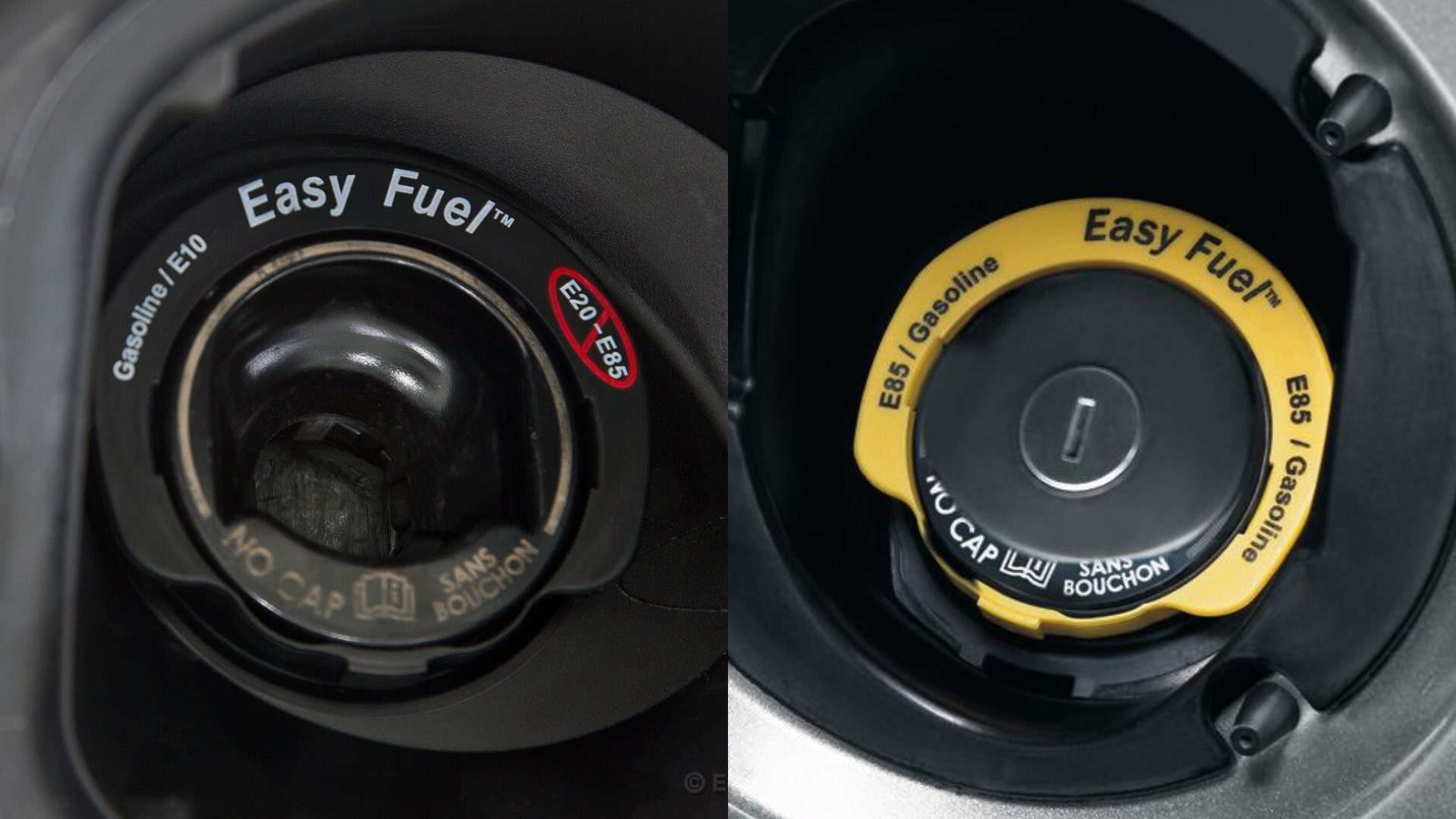 What types of fuel does a Ford Fusion take? [ANSWERED] [2025]